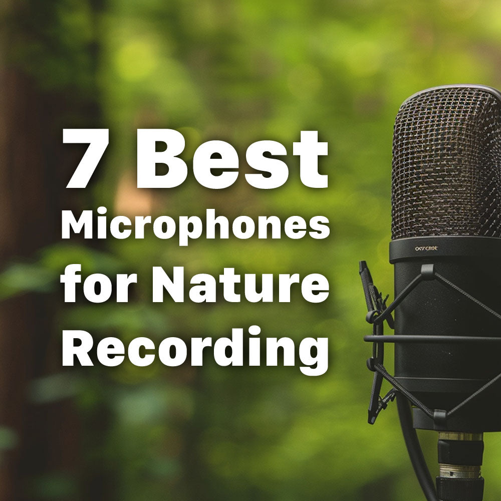 7 Best Microphones for Nature Recording – Meditation Music Library